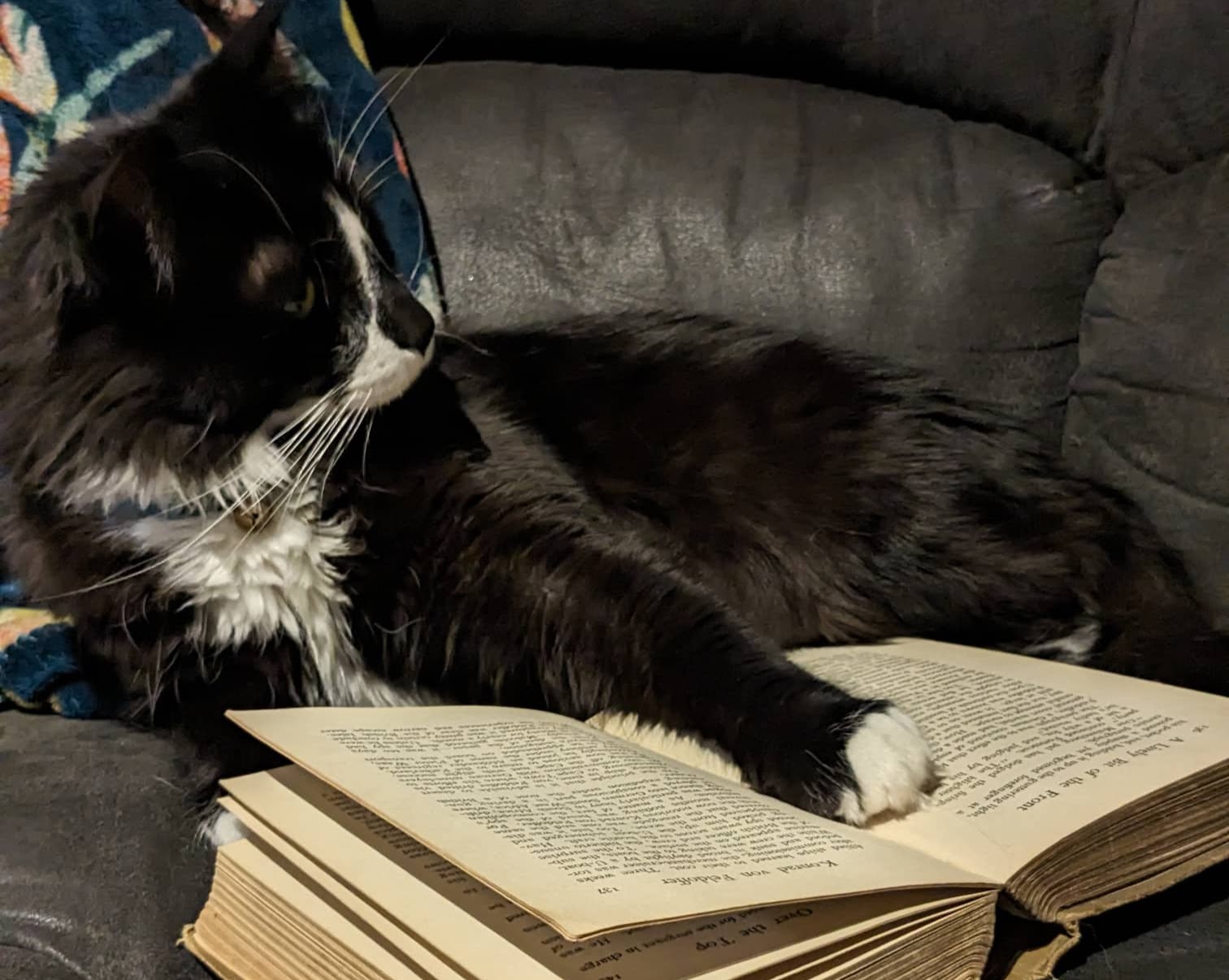 Become an Author – Pete's Press